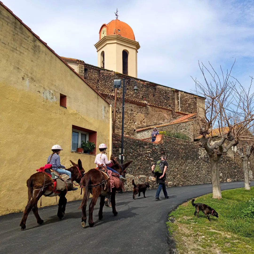 Burro Trek - Festes Catalunya